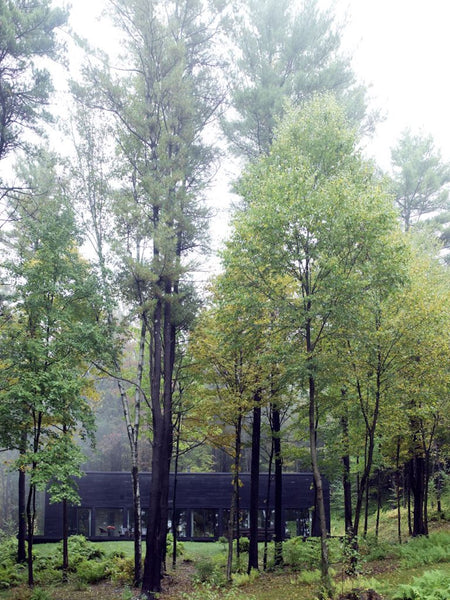 A Sense of Place | Design Miami/ Shop